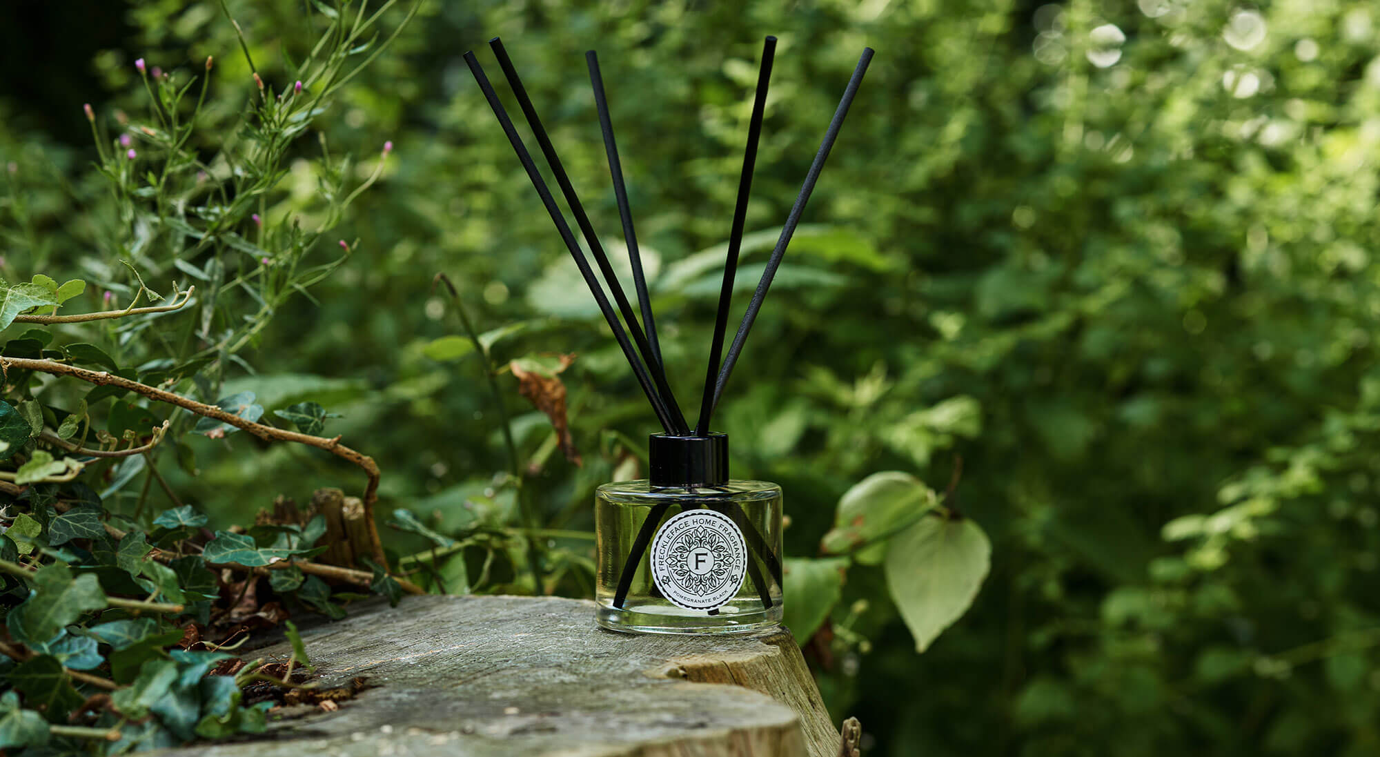 Reed Diffusers & Refills